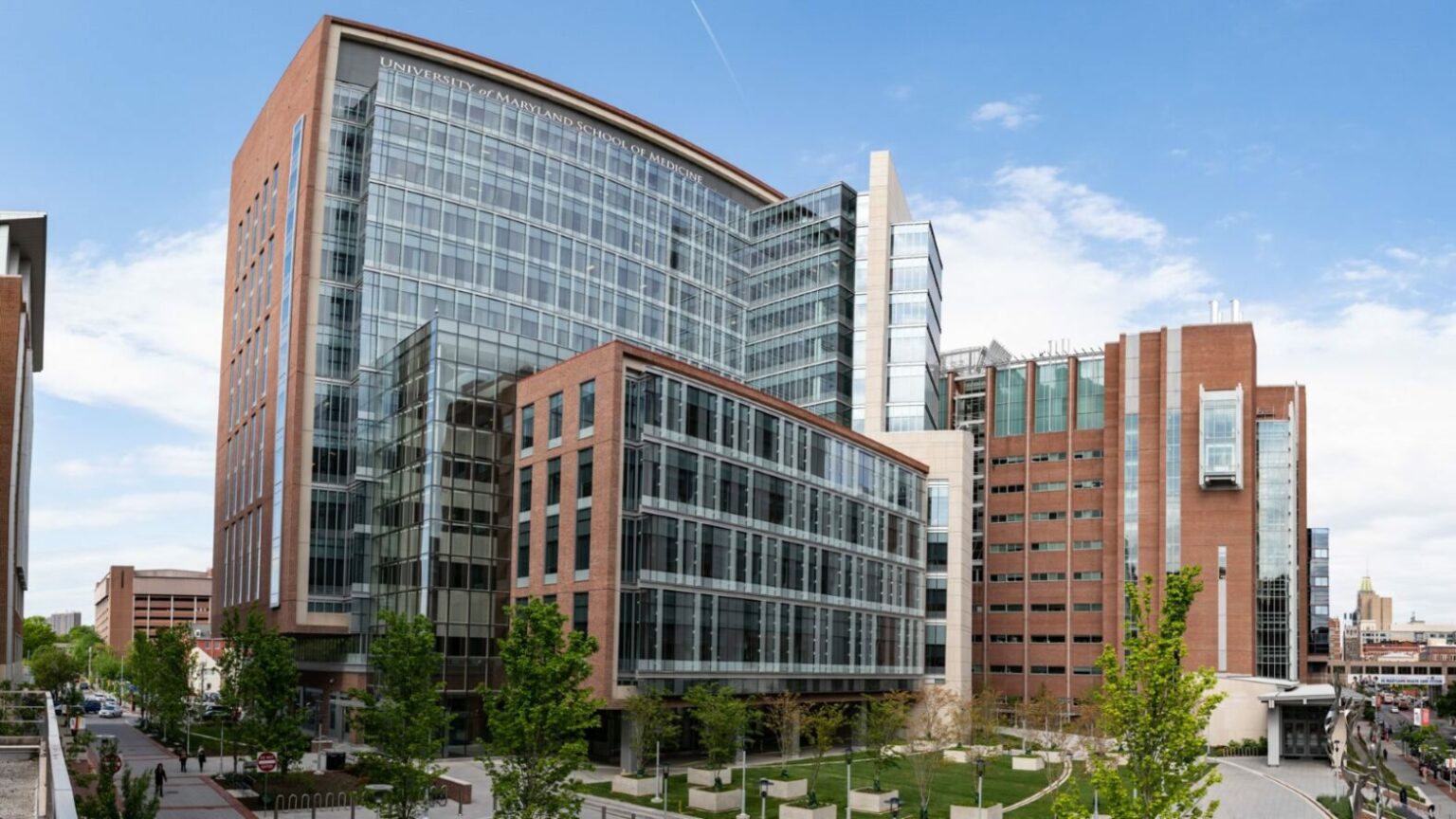 Simard Endowed Laboratory